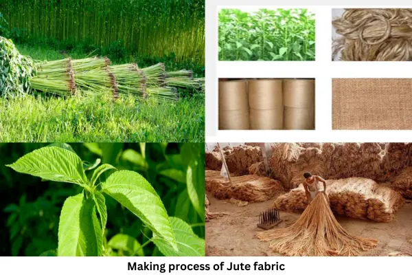 What is Jute Fabric: A Sustainable Fabric of Golden Threads